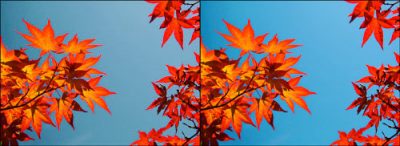Armonia complementare e teoria del colore